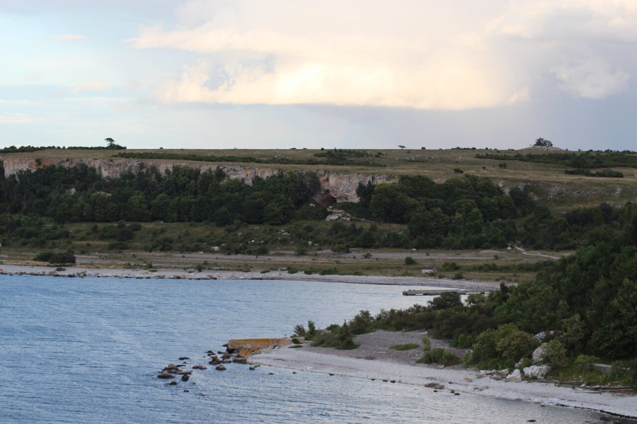 Ancient wolves on remote Baltic Sea island reveal link to prehistoric ...
