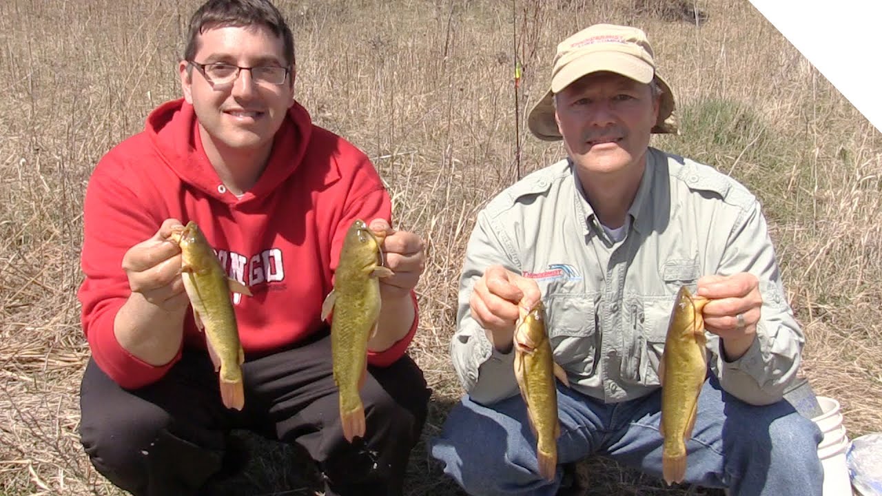 Boatless angler - shore fishing for bullhead with worms (easy catfish rig)