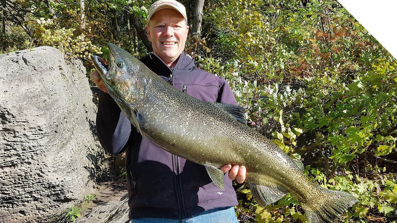 Casting for fall salmon from the Niagara River shoreline