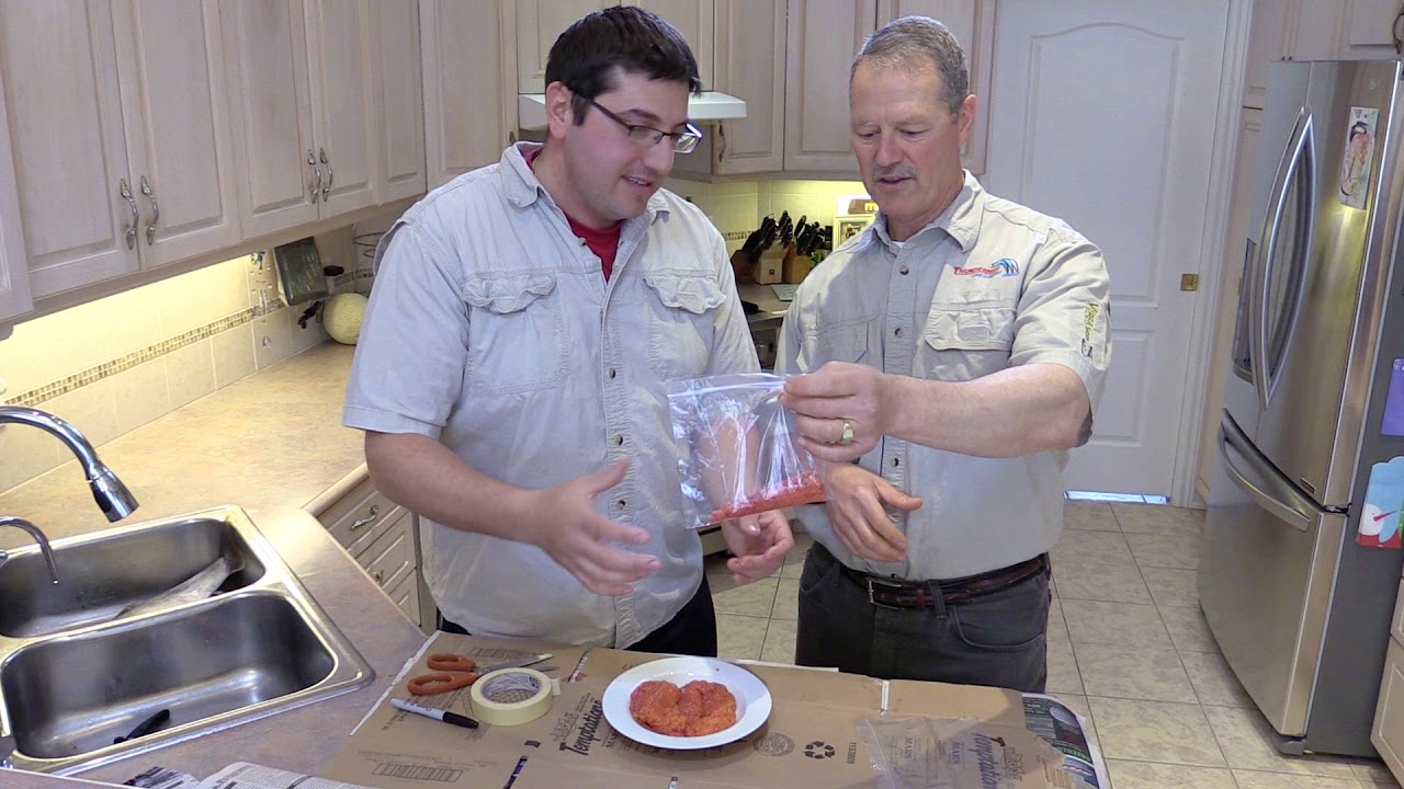 How to preserve fresh roe (salmon or trout eggs)