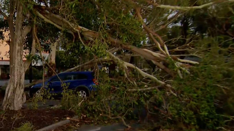 South-east Queensland storms an 'insurance catastrophe' after ...