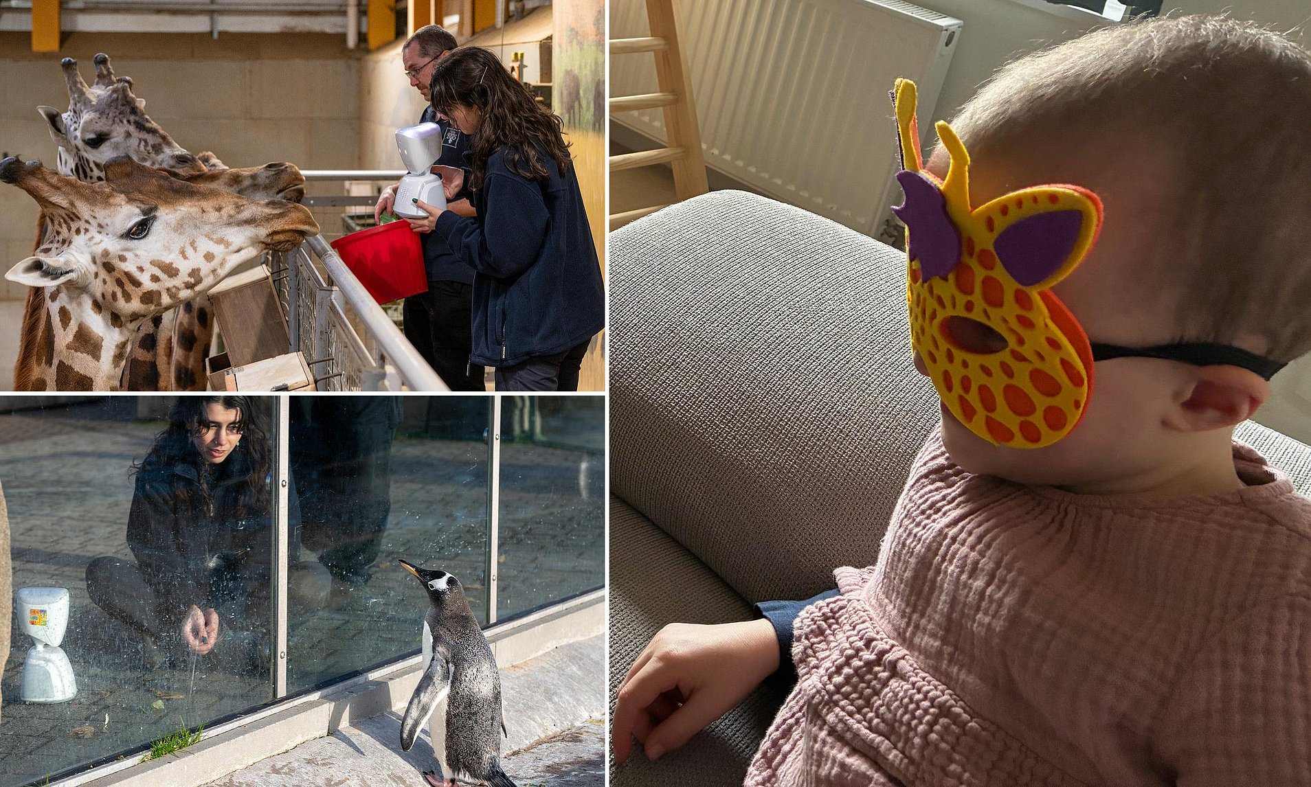 Moment immunocompromised children go on 'visit' to the zoo with help of ...