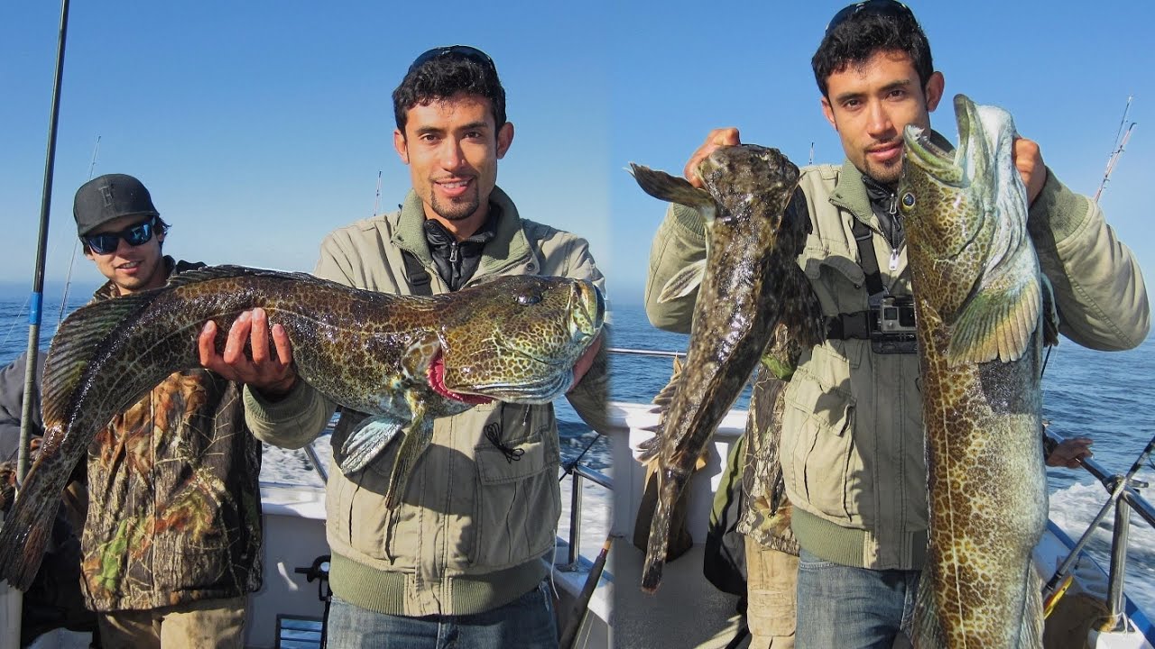 Record-Breaking Lingcod and Huge Cabezon Fishing Trip