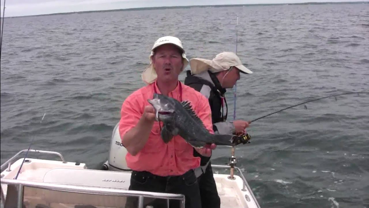 Introducing the Boa Jig'r Jigging Spoons - The First Ever Jigging Spoon ...