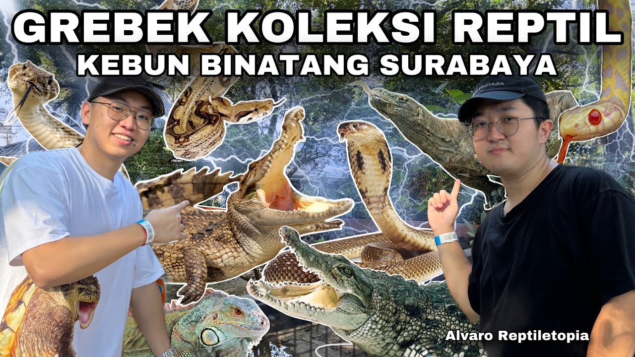 Reptil Monster Tersembunyi Terungkap di Dalam Kebun Binatang Bersejarah