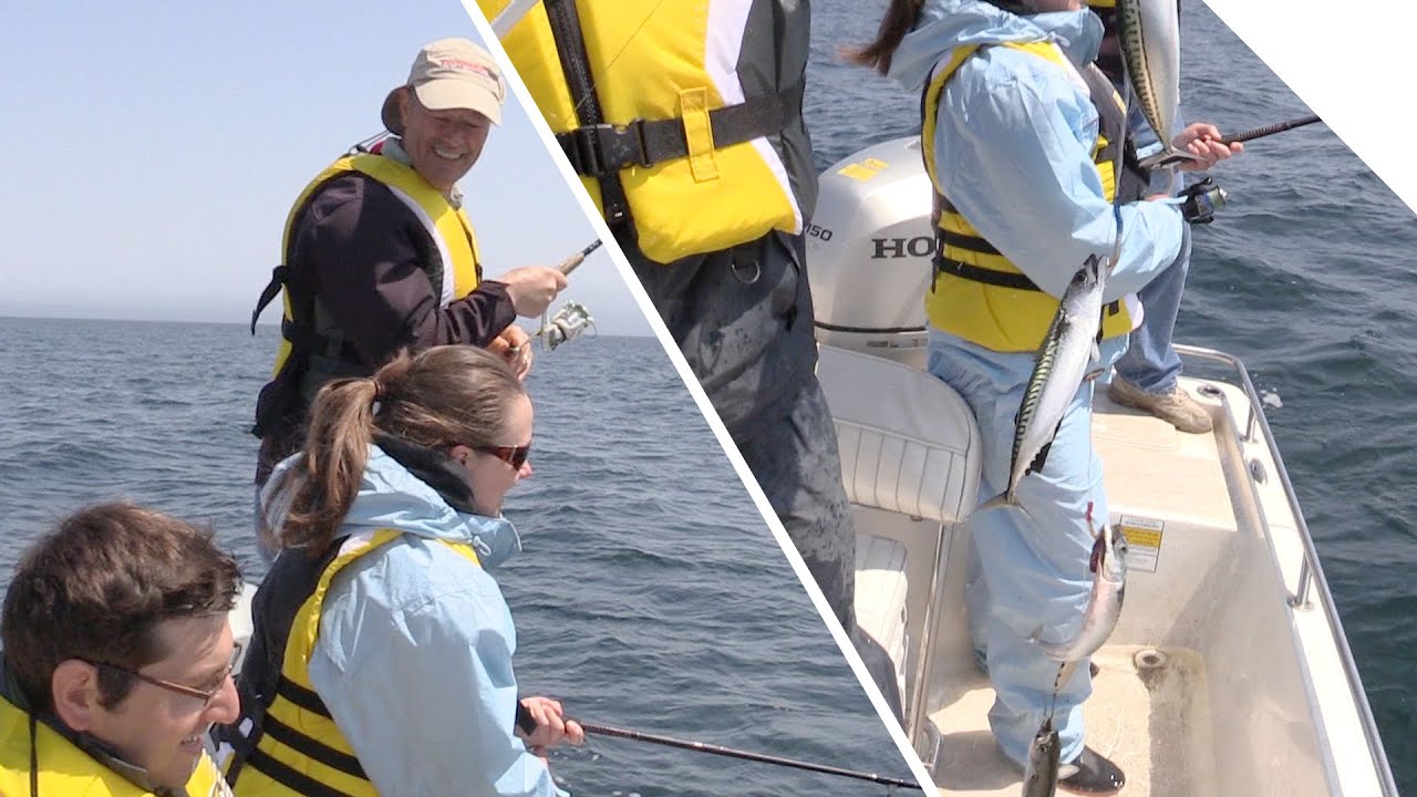 How to Catch Mackerel