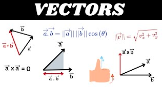 Master Vectors Fast — Full Tutorial for Students