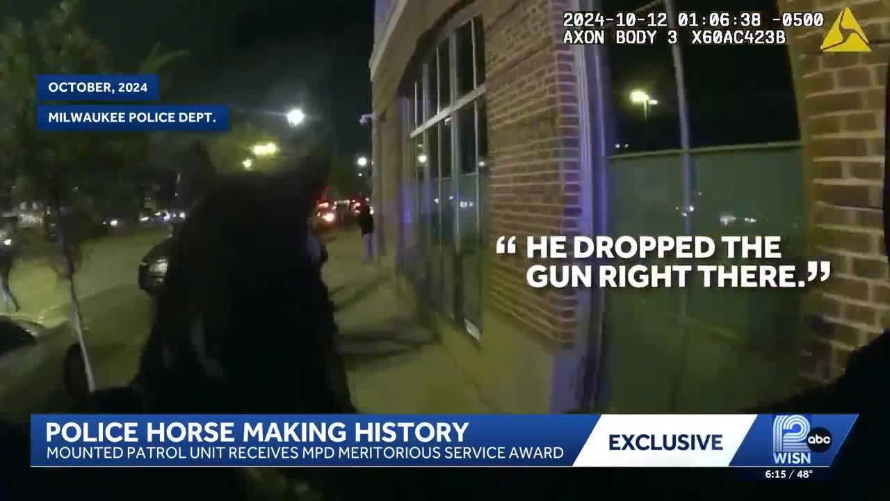 Milwaukee police horse Tanner makes history after charging into gunfire