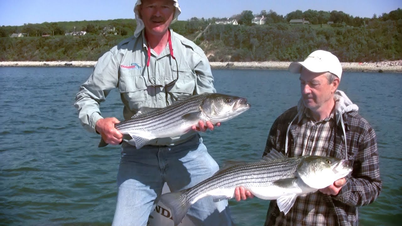 Fishing Cape Cod for striper - big striper double header!