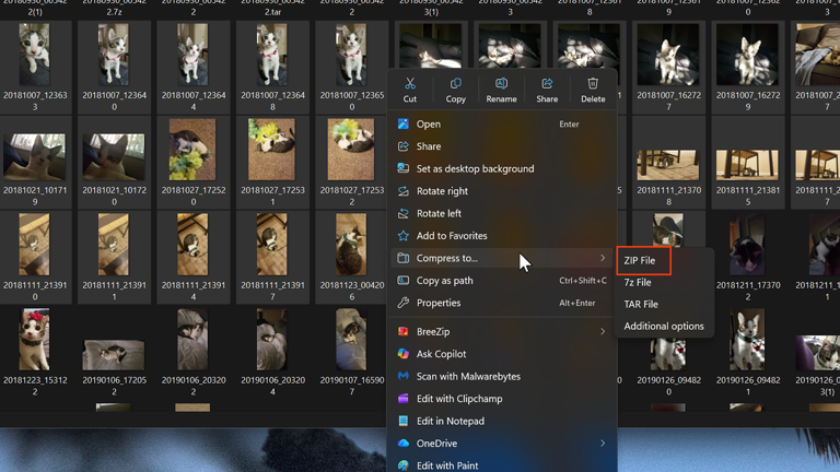 How to zip large files on your Windows 11 PC (and whether third-party ...