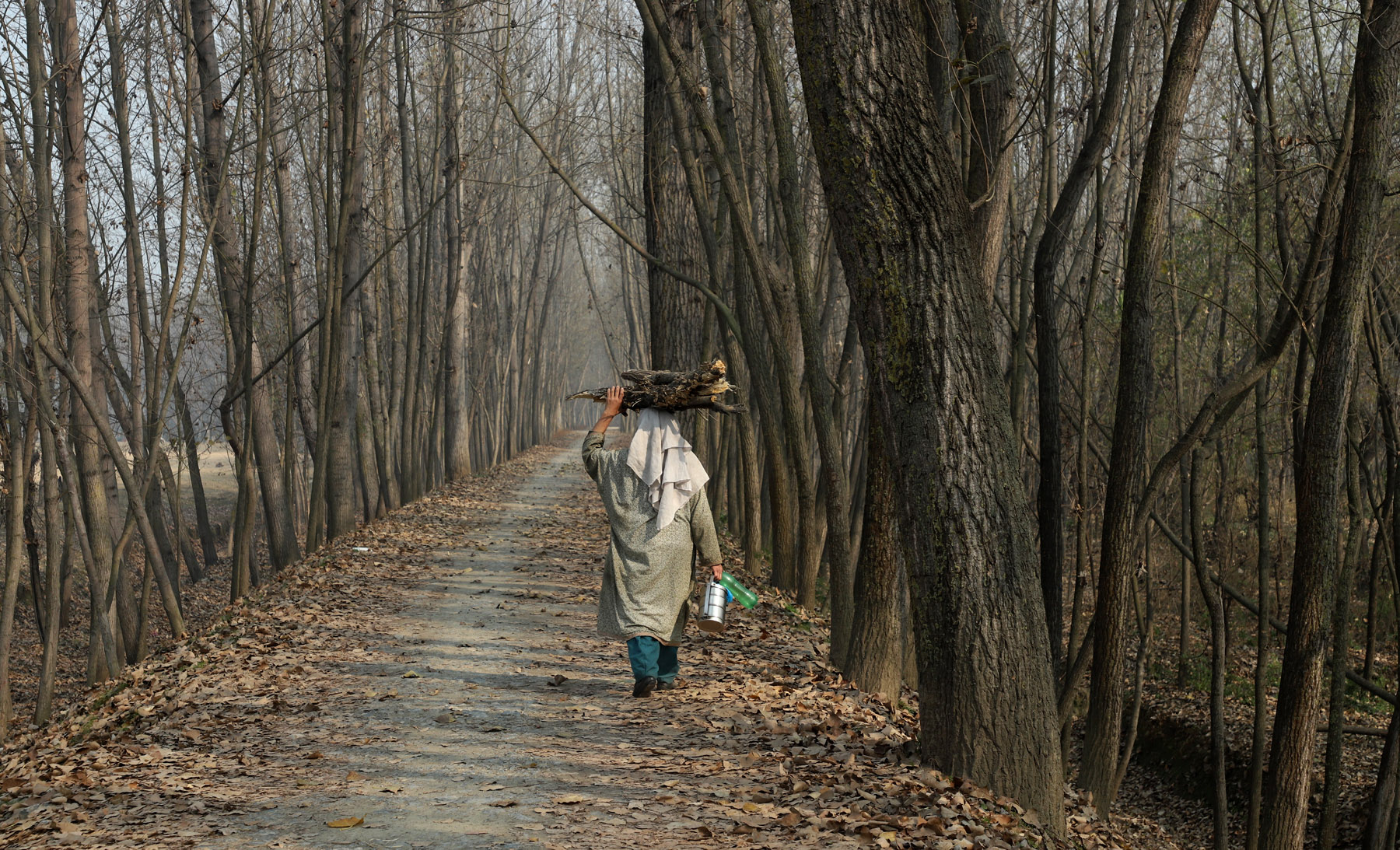 Sub-zero nights continue in Kashmir, Ladakh records minus 9.8°C