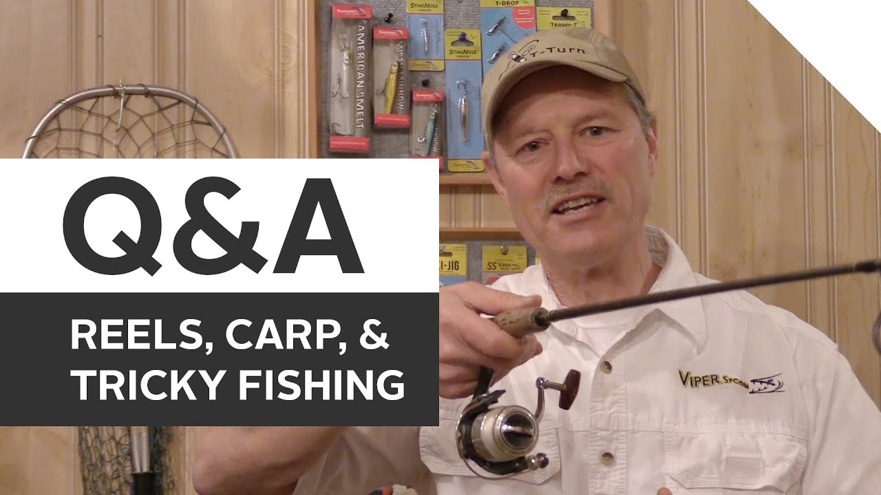Fishing Q&A - Spinning vs baitcasting reels, baits for grass carp, and ...