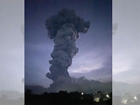 'Engine flameout': Why is volcanic ash so dangerous to aircraft?
