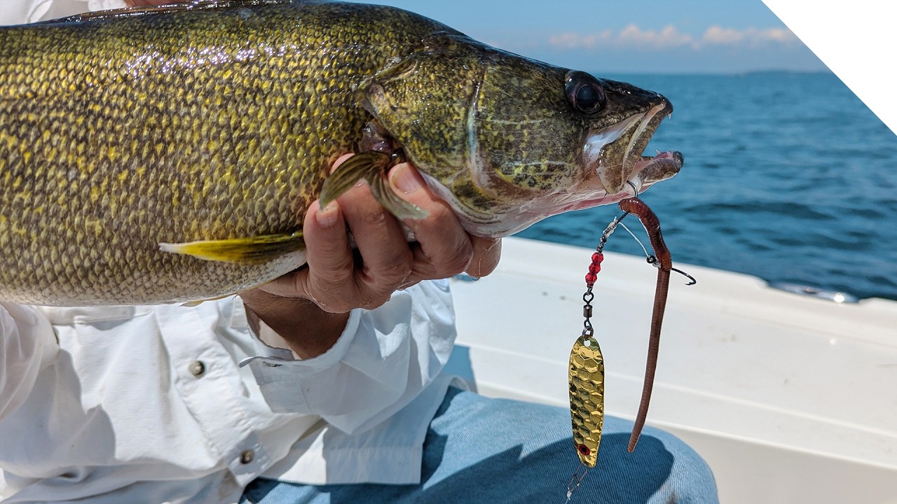 Bottom bounce trolling for walleye - Viper spoon and worm combo