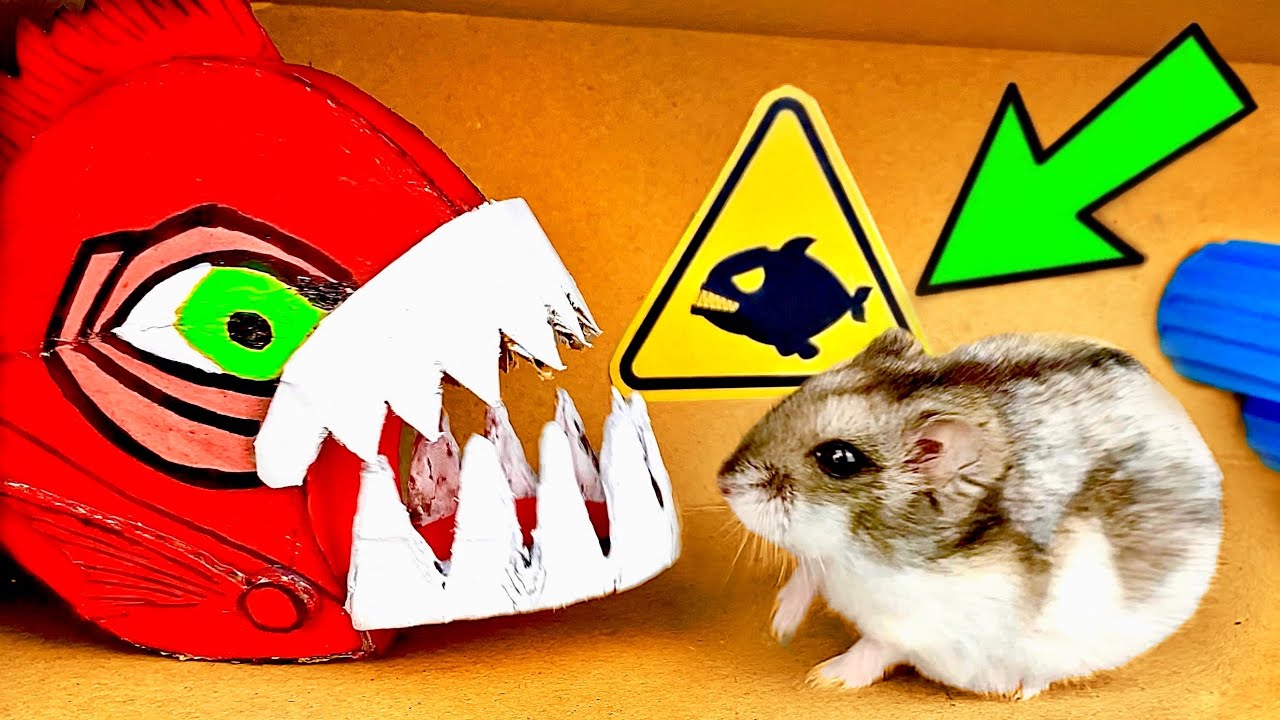 🐹JAWS Hamster Maze with Traps 😱[OBSTACLE COURSE]😱