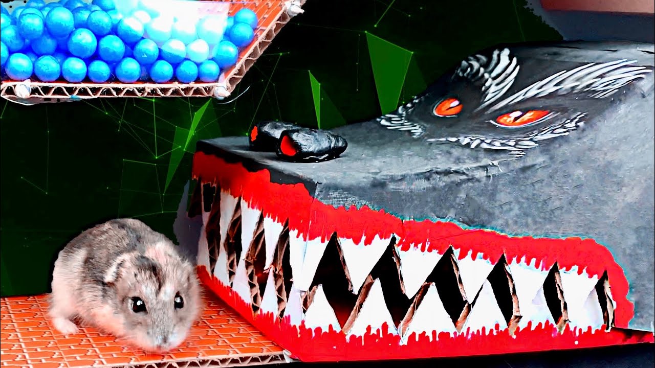 🐹🐲 Dragon hamster maze with traps 😱[OBSTACLE COURSE]😱 + dragon and snake
