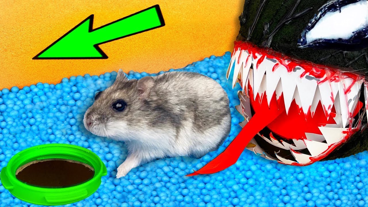 🚀 💀 Venom hamster maze with traps 😱[OBSTACLE COURSE]😱