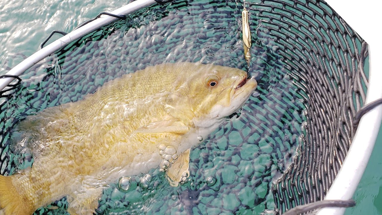 World class smallmouth bass jigging