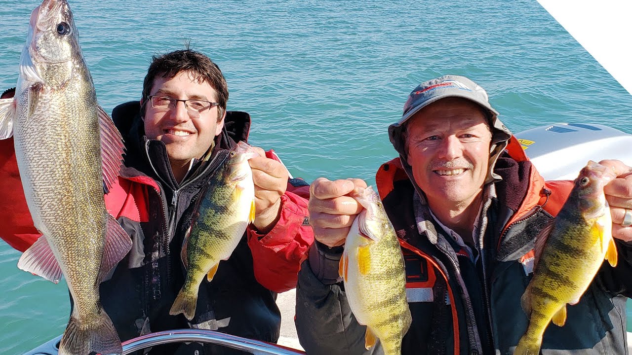 Fishing for perch with live minnows