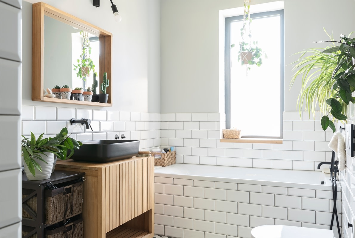 Plant Expert Reveals the Best Houseplants to Put in Your Bathroom