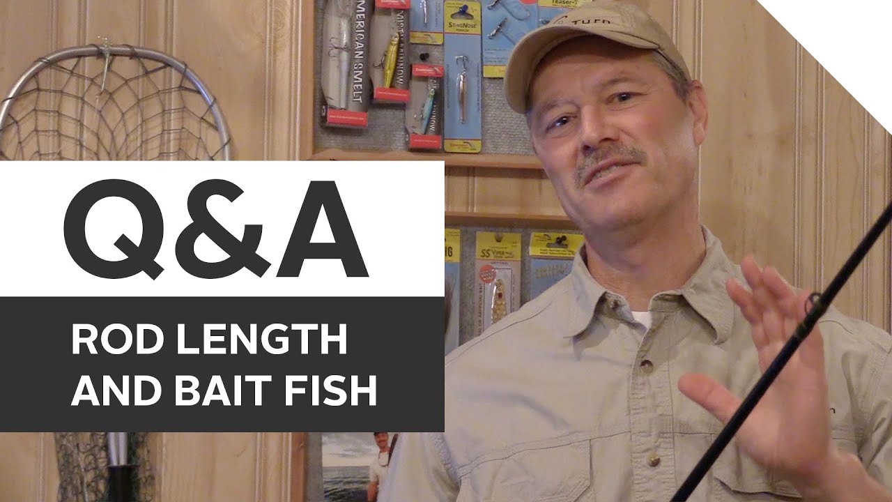 Fishing Q&A - Rod lengths, line strength, best pike bait, and bass ...