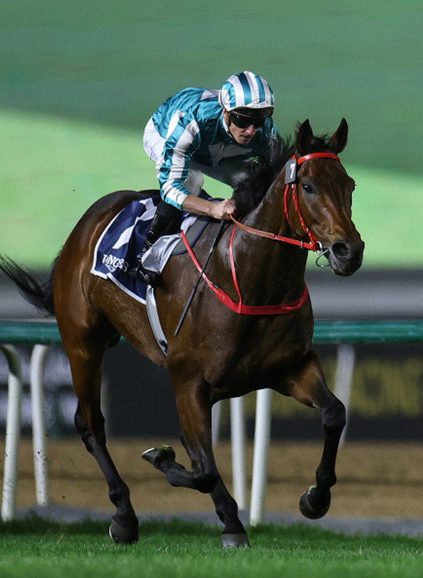 Your definitive guide to the finest sporting moments in the UAE