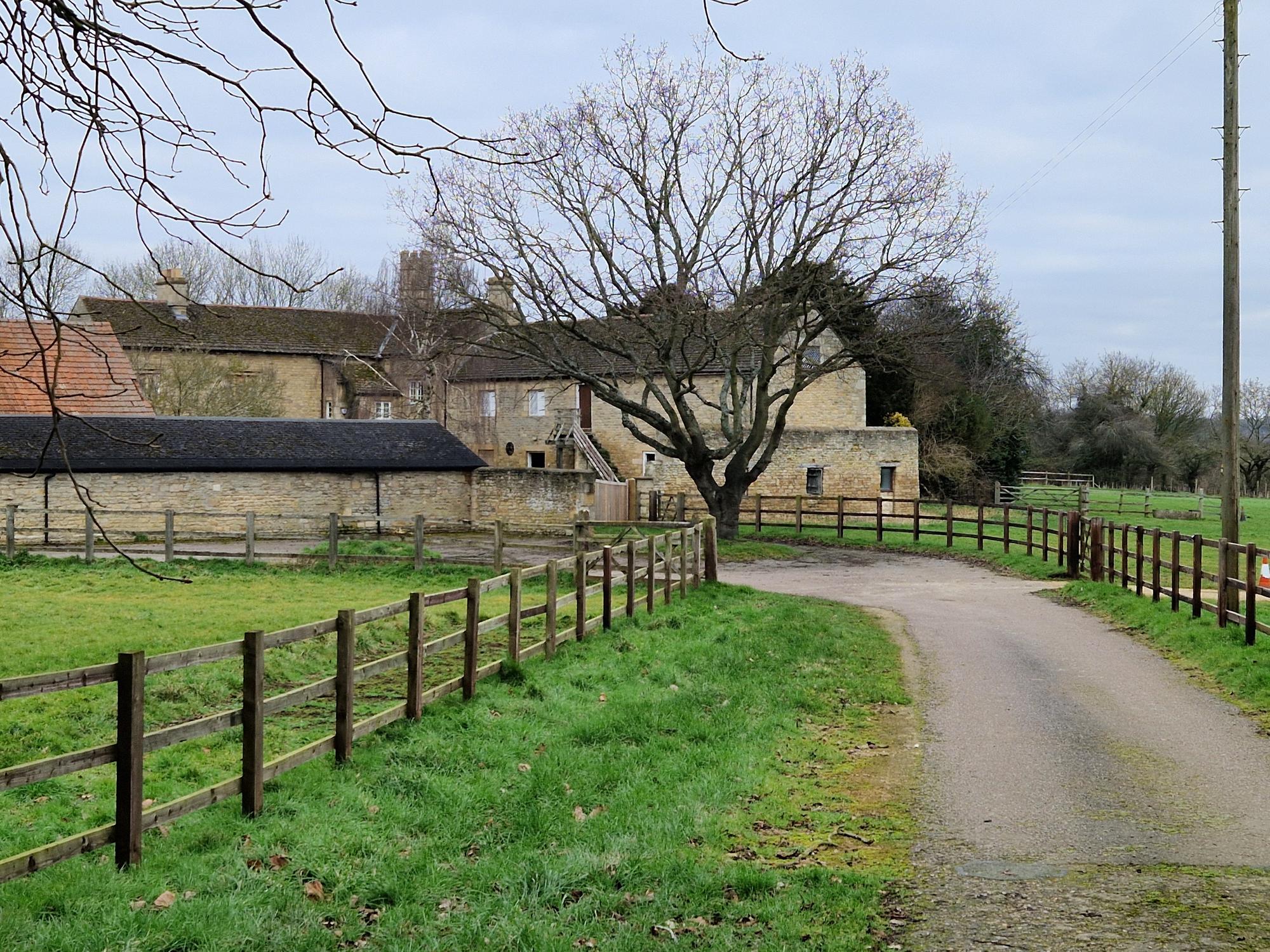 Dog walking paddock could open next year after Nene Park secures ...