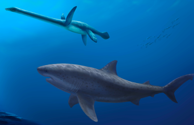 Ancient discovery 'rewrites the timeline' of Australia by 10 million years