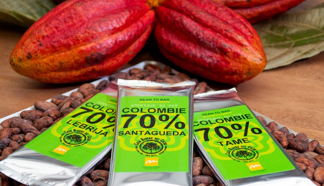 El año dorado para la producción del chocolate que vivió la Casa Rivera ...