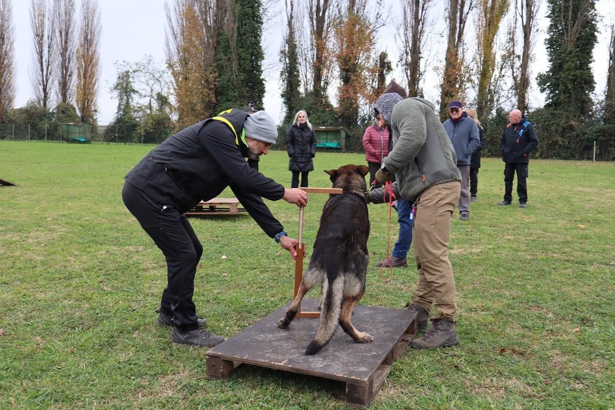 Da campo inutilizzato a nuova Oasi per i cani