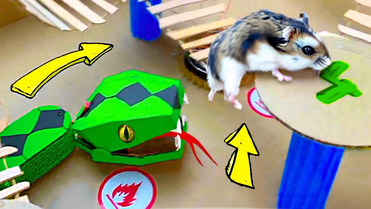 🐹🐍 Snake hamster maze with traps 😱 [OBSTACLE COURSE] 😱 + bonus