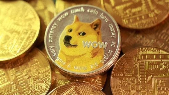 DOGE doesn't exist? Official X account debunks reports, says: ‘We’ll be ...