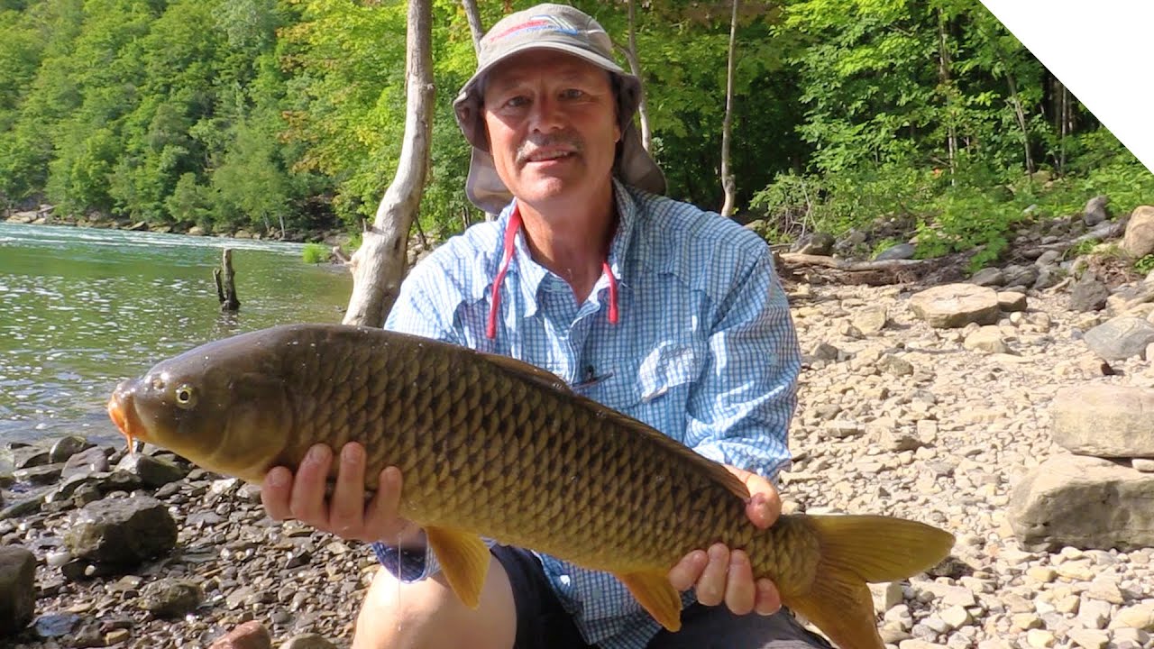 Introducing the Catch-A-Carp!