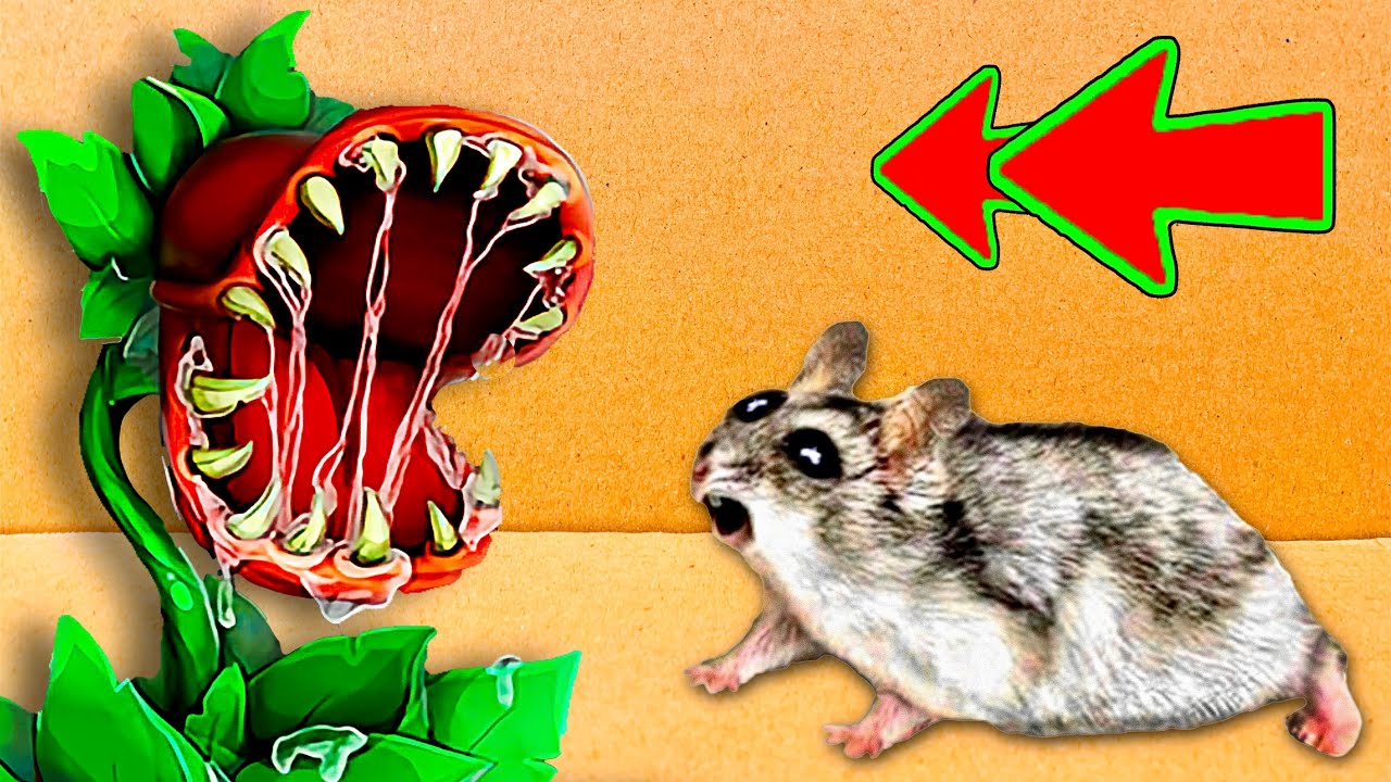 🐹 Escape the hamster maze of doom! 😱