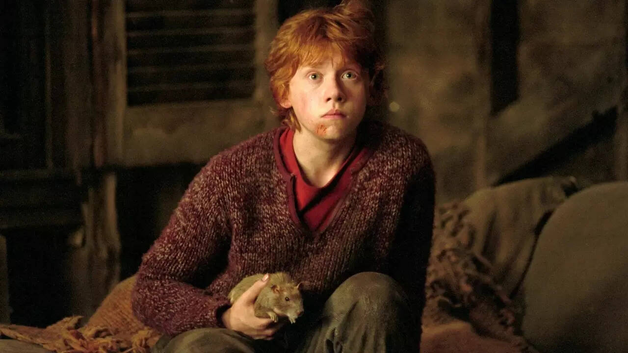 Rupert Grint says he won’t be able to ‘step out of its shadow’ while ...