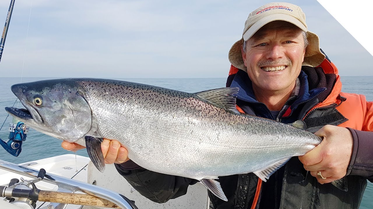 Trolling for trout with a salmon surprise!