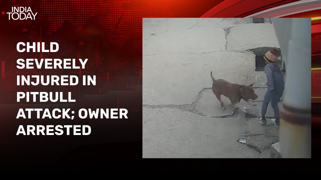 6-year-old boy severely injured in pitbull attack, dog owner arrested