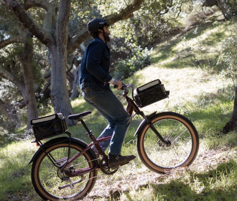 Rad Power Bike E-Bike Batteries Can Catch Fire, Consumer Protection Agency Warns