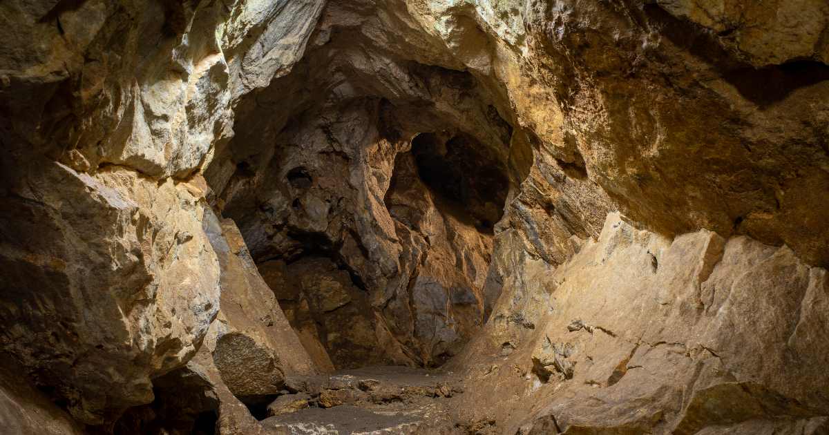 Archaeologists open a 40,000-year-sealed cave—find Neanderthal bones ...