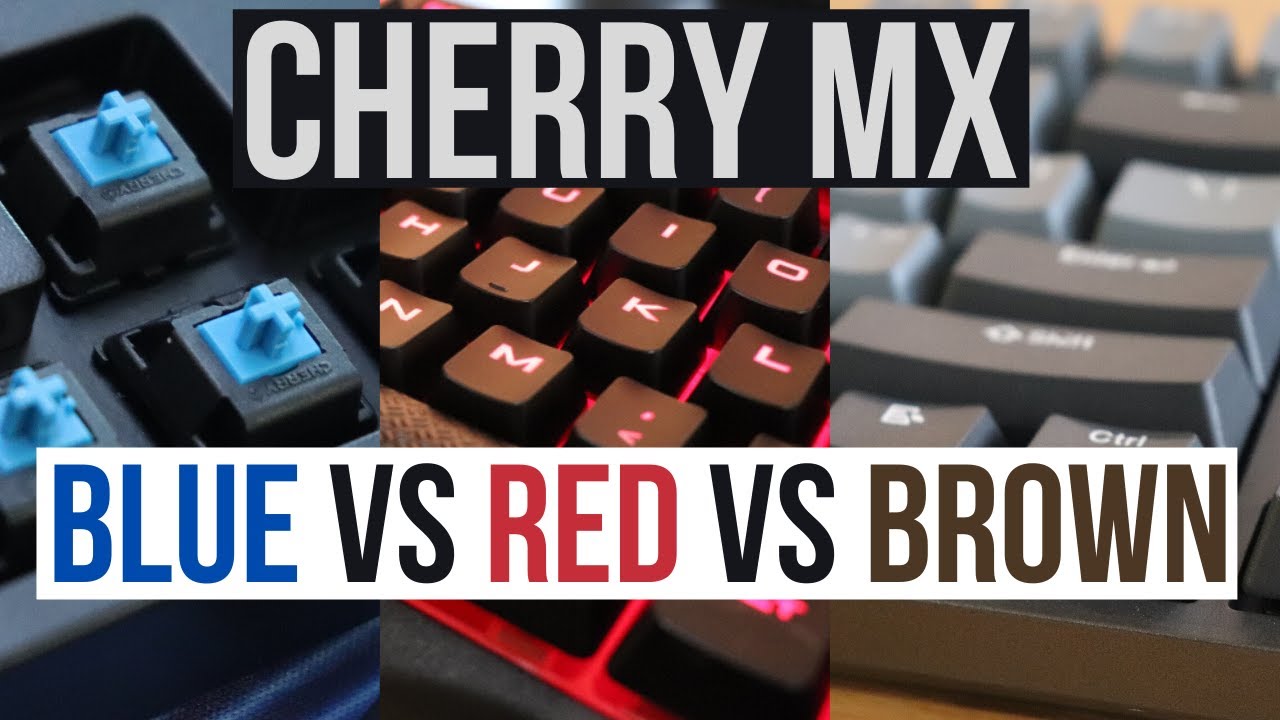 Cherry MX red vs brown vs blue mechanical switch sound comparison