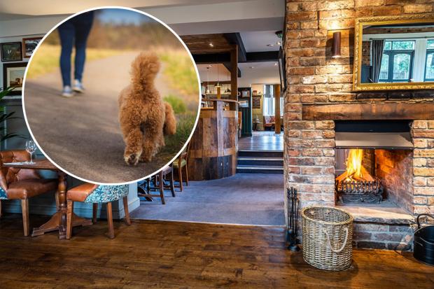 Hertfordshire boozer named among 'UK's 11 most dog friendly pubs'