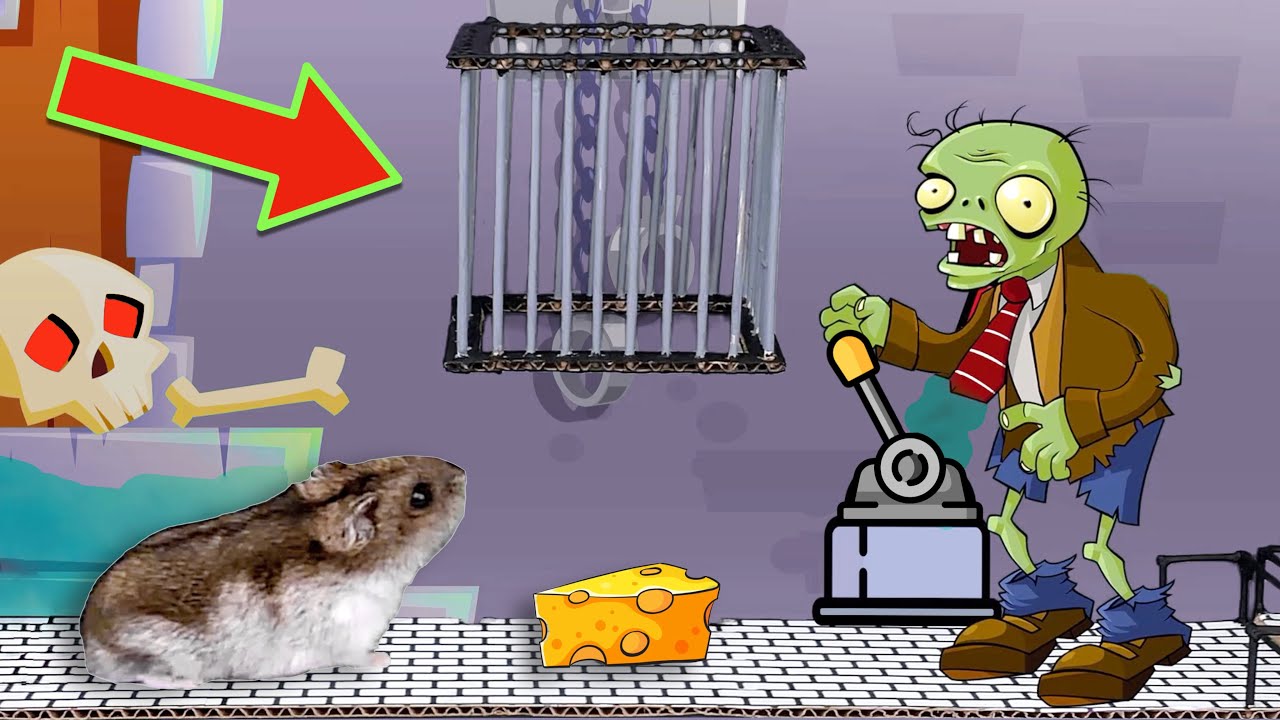 🐹⭐️ Epic hamster maze with trap 😱[OBSTACLE COURSE]😱 + bonus