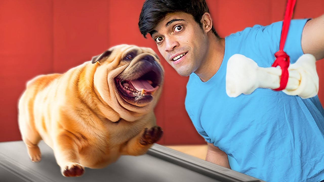 I trained my fat dog to run a 5k