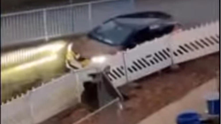 Tierische Lebensretter, fatale Pinkelpausen und tölpelhafter Waffen ...