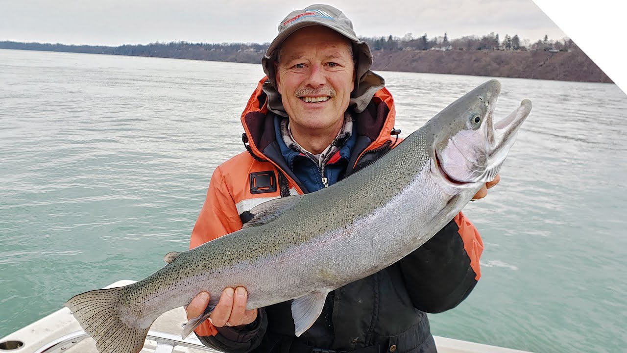 Catching steelhead using roe bags - Chrome on salmon roe