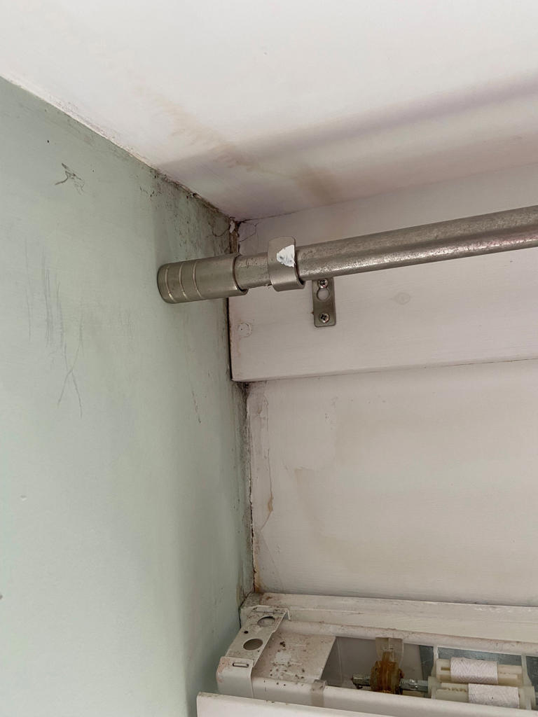 ‘I was hospitalised for a week due to mould in my damp house’