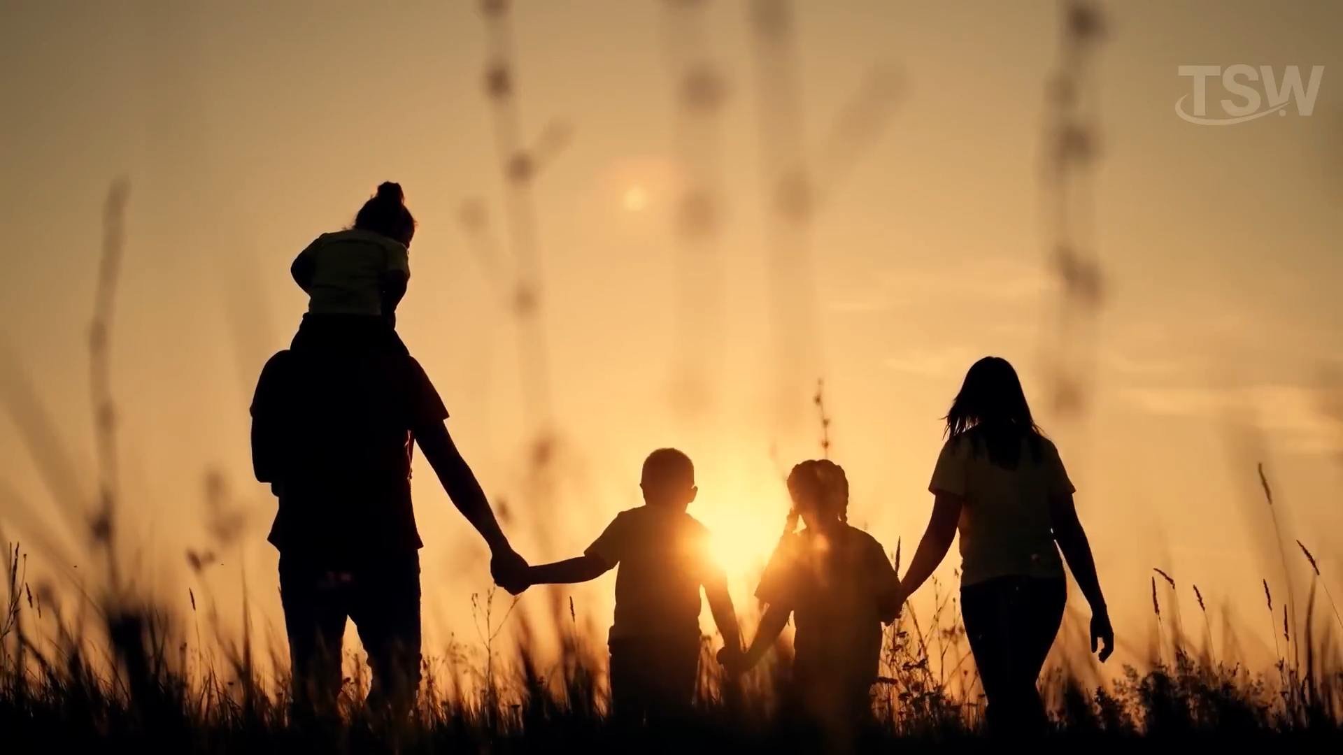 Earth's Location in The Galaxy Is So Perfect It's Frightening Scientists