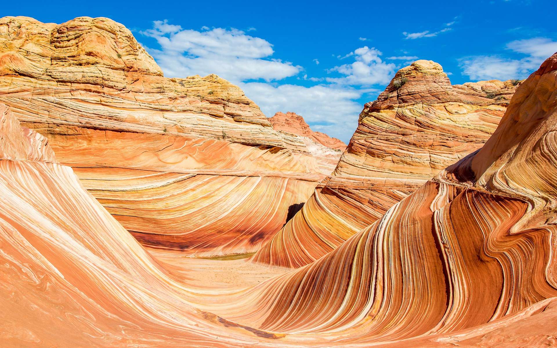 Quelle est l’origine de l’incroyable paysage de The Wave dans le désert ...