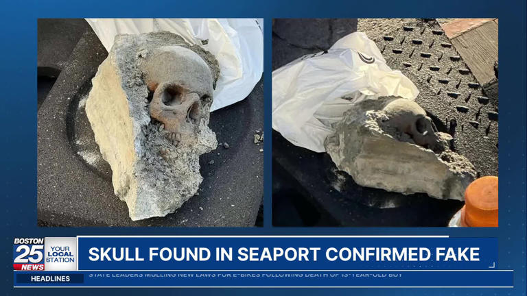 Authorities give update days after ‘skull’ found encased in concrete in ...