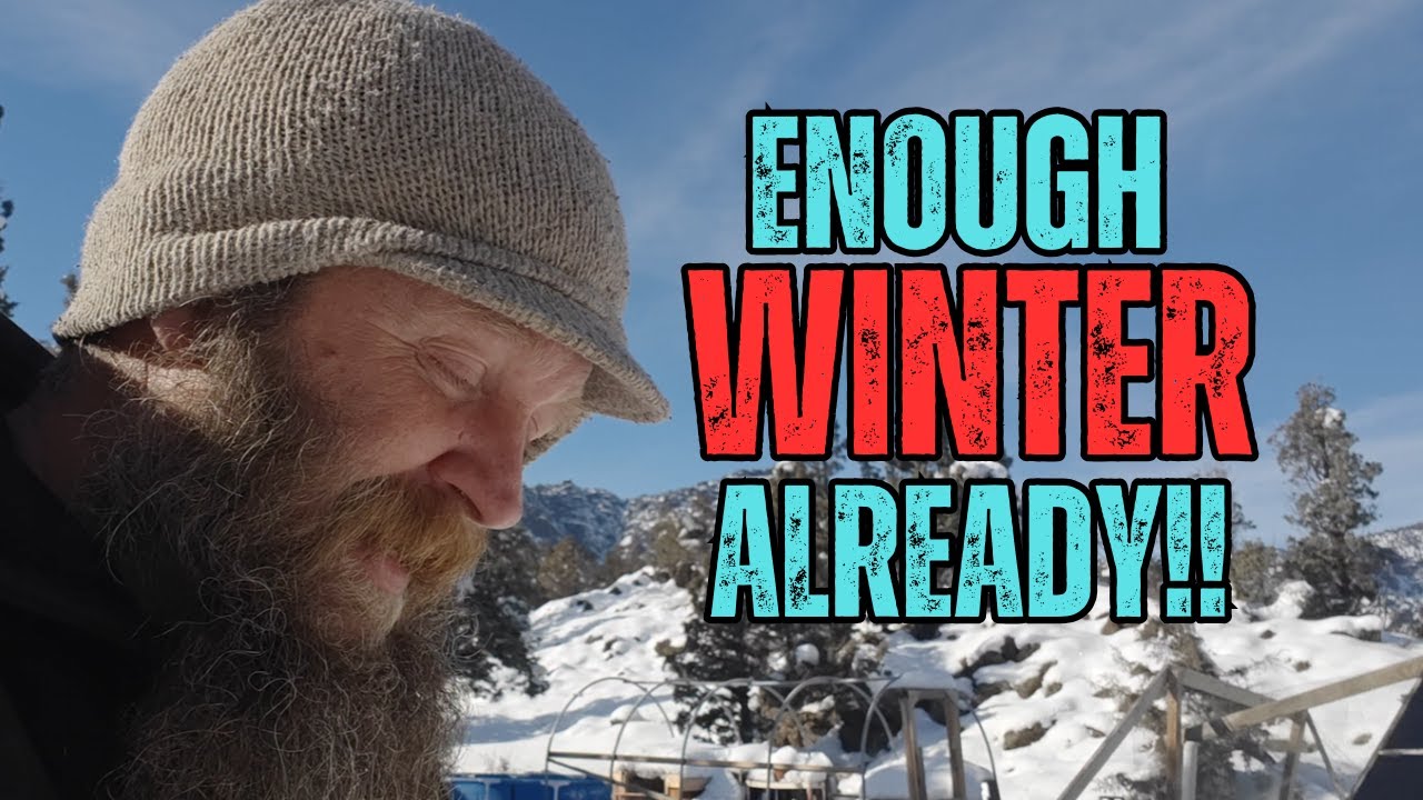 Rough Winters on an Off-Grid Homestead: Hard Lessons, Survival, and ...